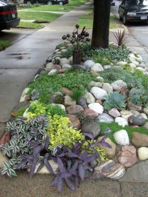32 Stunning Low-Water Landscaping Ideas for Your Garden