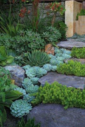 32 Stunning Low-Water Landscaping Ideas for Your Garden