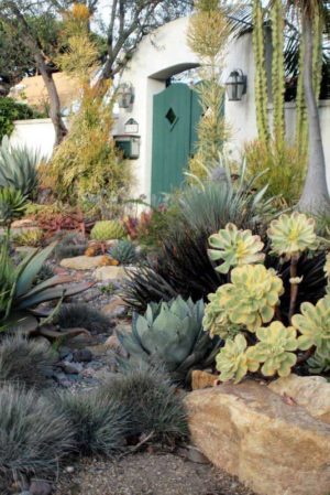 32 Stunning Low-Water Landscaping Ideas for Your Garden