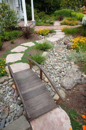 32 Stunning Low-Water Landscaping Ideas for Your Garden