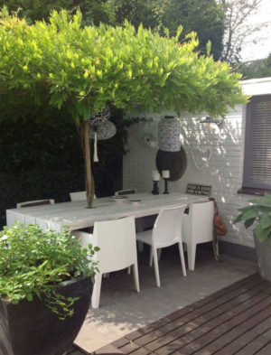 10 Exciting DIY Ideas to Build a Shady Space for Patio